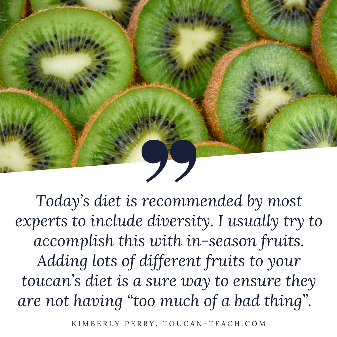 The Great Debate: Toucan Nutrition - Toucan Teach